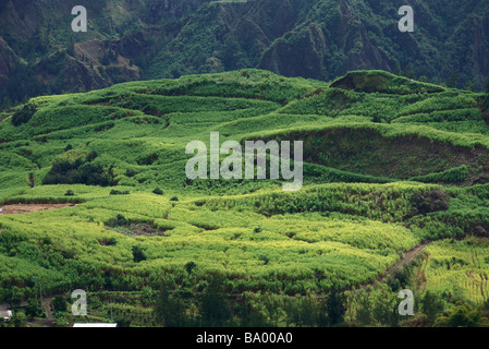 An aerial view of a mountainous landscape with lush green forest in a ...