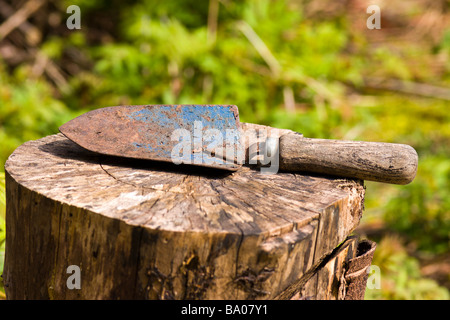 Trowel on stump Stock Photo - Alamy