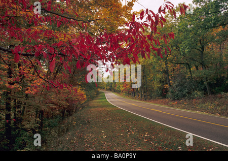 Skyline Drive Fall autumn colours colors Shenandoah National Park ...