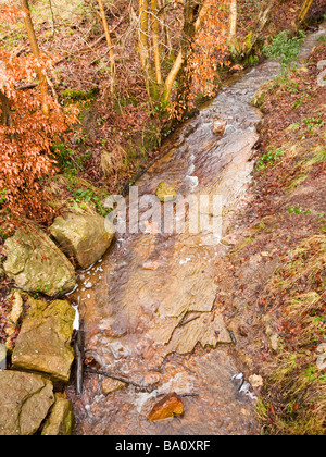 Woods in autumn Stock Photo - Alamy
