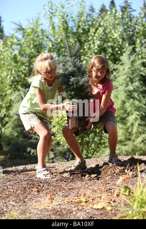 Girls planting a tree Stock Photo - Alamy