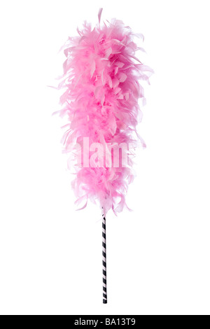 Pink Feather Duster 1 Stock Photo - Alamy