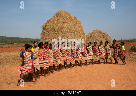 Women of the Indian Gadaba Tribe Performing Traditional Dance Stock ...