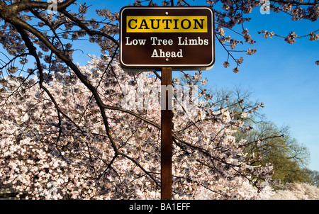 Low tree limbs caution sign Stock Photo - Alamy