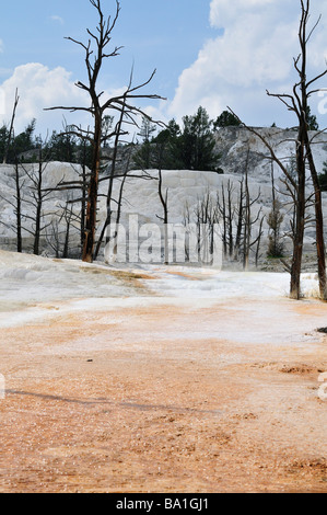 color geysers at the Yellowstone National Park Stock Photo - Alamy