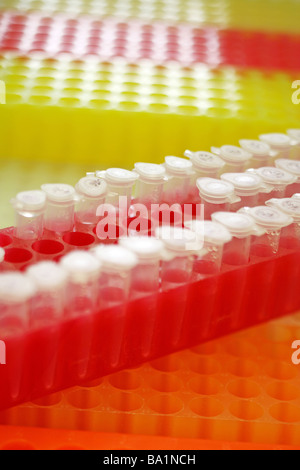 scientific research biotech Genetics genome lab research DNA sequence ...