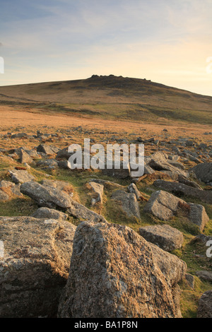 West Milll Tor at dusk in spring, Dartmoor, Devon, England, UK Stock ...