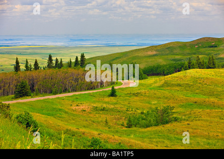 Overview of Cypress Hills Interprovincial Park seen from the Reesor ...
