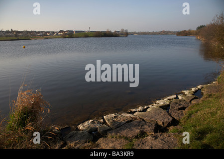 Craigavon Lakes, Craigavon, County Armagh, Northern Ireland, UK. 15 Jan ...