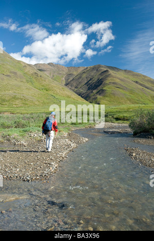 Chandalar river in summer at the Arctic national wildlfe refuge Stock ...