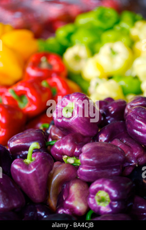 Multi colored peppers full frame Stock Photo - Alamy