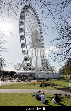 Royal Windsor Observation Wheel, Alexandra Gardens, Windsor, Berkshire ...