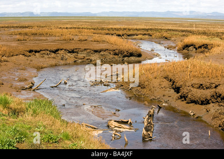 Leadbetter Point State Park - Long Beach Peninsula, Washington Stock ...