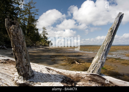 Leadbetter Point State Park - Long Beach Peninsula, Washington Stock ...