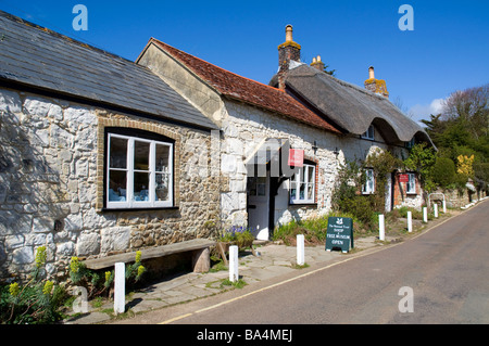 UK, England, Isle of Wight, Brighstone, the dragon tree beside stream ...