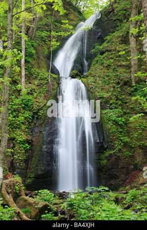View of Kumoi waterfall in Oirase stream in autumn season, Aomori ...