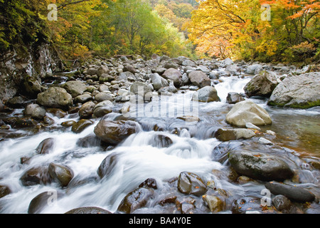 River Passing Through Nakatsugawa Ravine, Japan Stock Photo - Alamy
