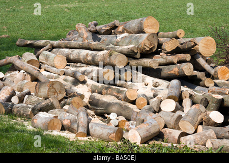 Cutted pile wood pieces Stock Photo - Alamy