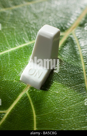 Green Eco Friendly Switch with Leaf Isolated on White Background Stock ...