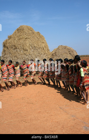 Women of the Indian Gadaba Tribe Performing Traditional Dance Stock ...