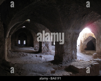 Qalat Al Saladin Castle SYRIA Castillo Qalat Al Saladino SIRIA donkey ...