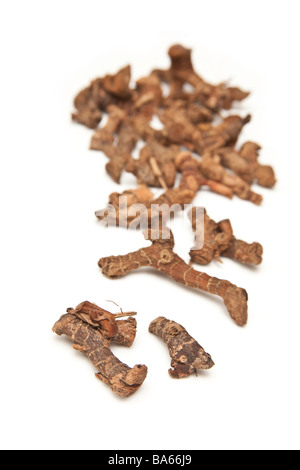 Ginseng Root On A White Background Stock Photo - Alamy