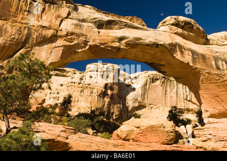 Hickman Bridge in Capital Reef National Park, USA Stock Photo - Alamy