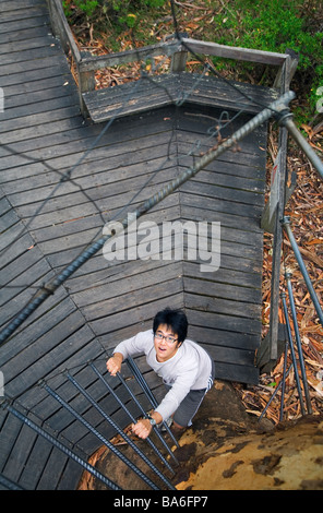 The Gloucester Tree at Pemberton, Southwest Western Australia. Worlds ...