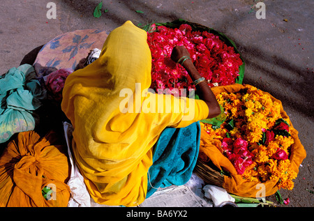 India, Rajasthan state, Udaipur, flower decoration on the ground in ...