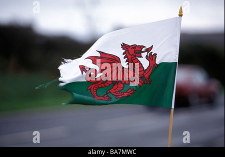 The Red Dragon Welsh flag Dyfed Wales United Kingdom Stock Photo - Alamy