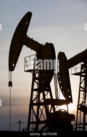 Nodding donkey oil pumps in the Daqing oil field in northern China ...