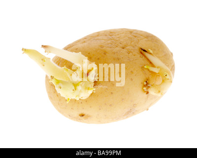 Gone Off Potato Stock Photo - Alamy