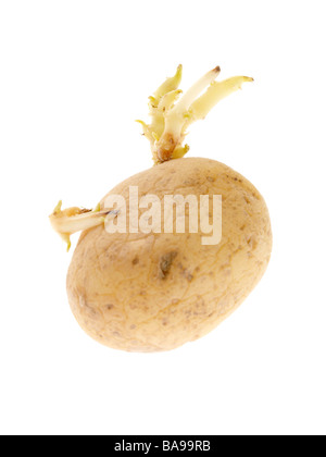 Gone Off Potato Stock Photo - Alamy