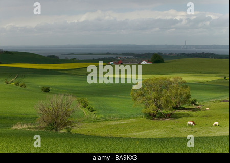 Agricultural landscape Jylland Denmark Stock Photo - Alamy