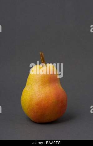 Pear 'Red Sensation Bartlett'. Pyrus communis 'Red Sensation Bartlett ...