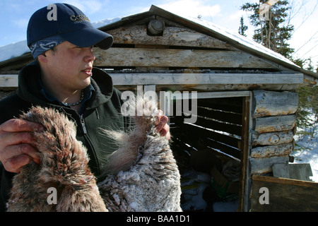 A First Nations hunter with his Porcupine caribou on the banks of the ...