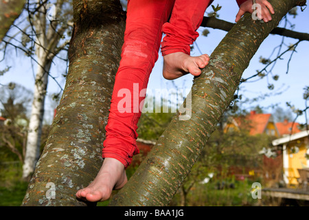Child with bare feet climbing tree in park Stock Photo: 179327284 - Alamy