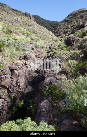 Water trickling down a stream from Broken Top, Oregon Stock Photo - Alamy