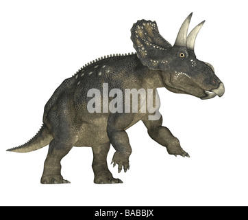 Dinosaurier Diceratus / dinosaur Diceratus Stock Photo - Alamy