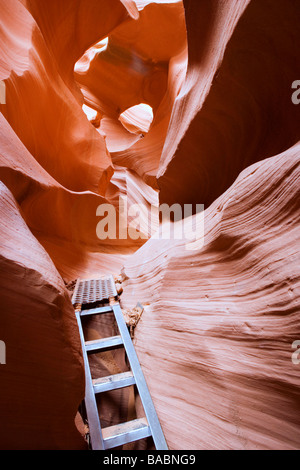 Ladder in lower Antelope Canyon, Navajo Indian Reservation, Arizona ...