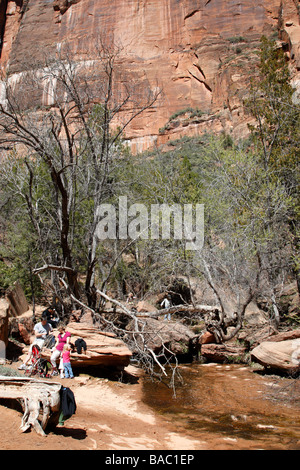 Middle Emerald Pool, Emerald Pools Trail, Zion National Park, Utah, USA ...