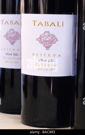 Chile, Coquimbo Region, Limari valley, Tabali, Santa Rosa de Tabali ...