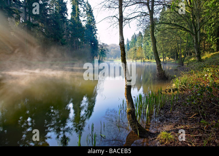 Soudley Ponds in Forest of Dean, Gloucestershire England UK. River ...