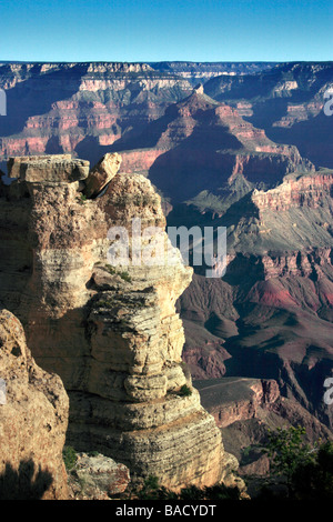 The Redwall Limestone layer of the Grand Canyon coated with various ...