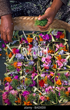 Indonesia, Bali, Making offering Stock Photo - Alamy