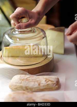 Street types of New York City: Men loading horse-drawn snow carts Stock ...