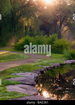 Reflecting pond, Walking path with tree along the way. Seoul Forest in ...
