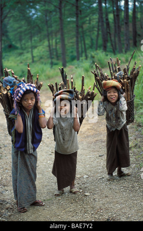 Myanmar (Burma), Chin State, Mindat, traditional houses Stock Photo - Alamy