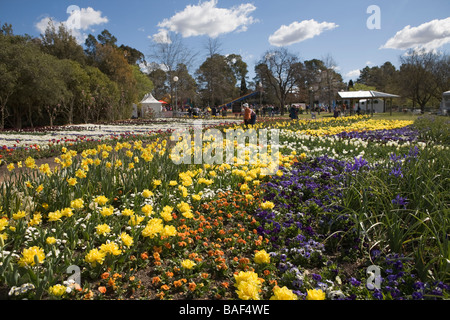 Floral spectacular, Commonwealth park, Canberra, Australian Capital ...