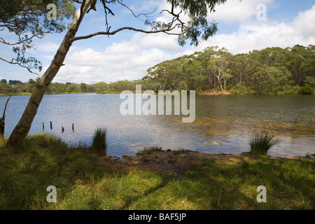 Wentworth Falls Lake Stock Photo - Alamy